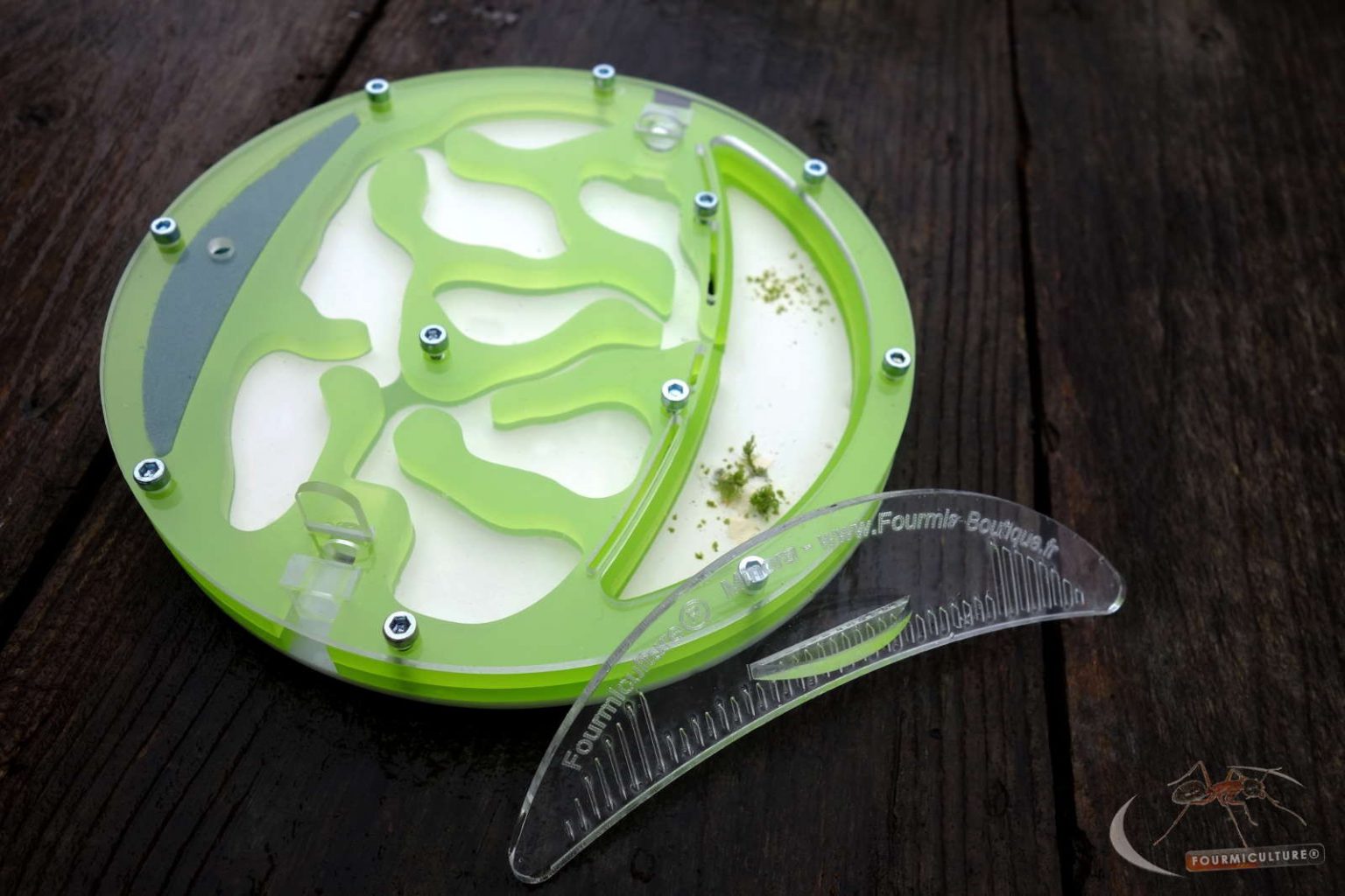 Fourmilière Minora 2.6 Model 2 - Fourmiculture® | Fourmiculture