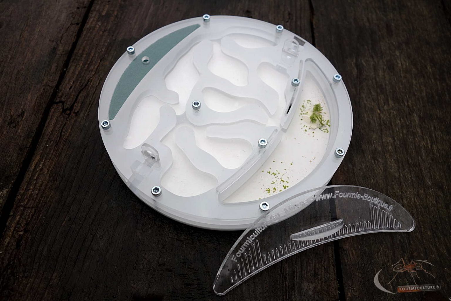 Fourmilière Minora 2.6 Model 1 - Fourmiculture® | Fourmiculture