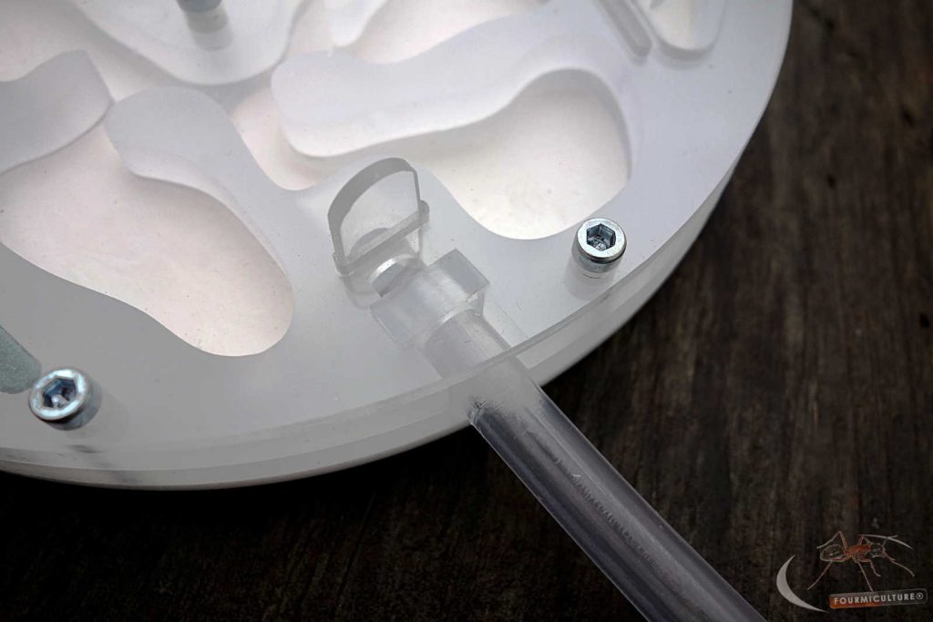 Fourmilière Minora 2.6 Model 1 - Fourmiculture® | Fourmiculture