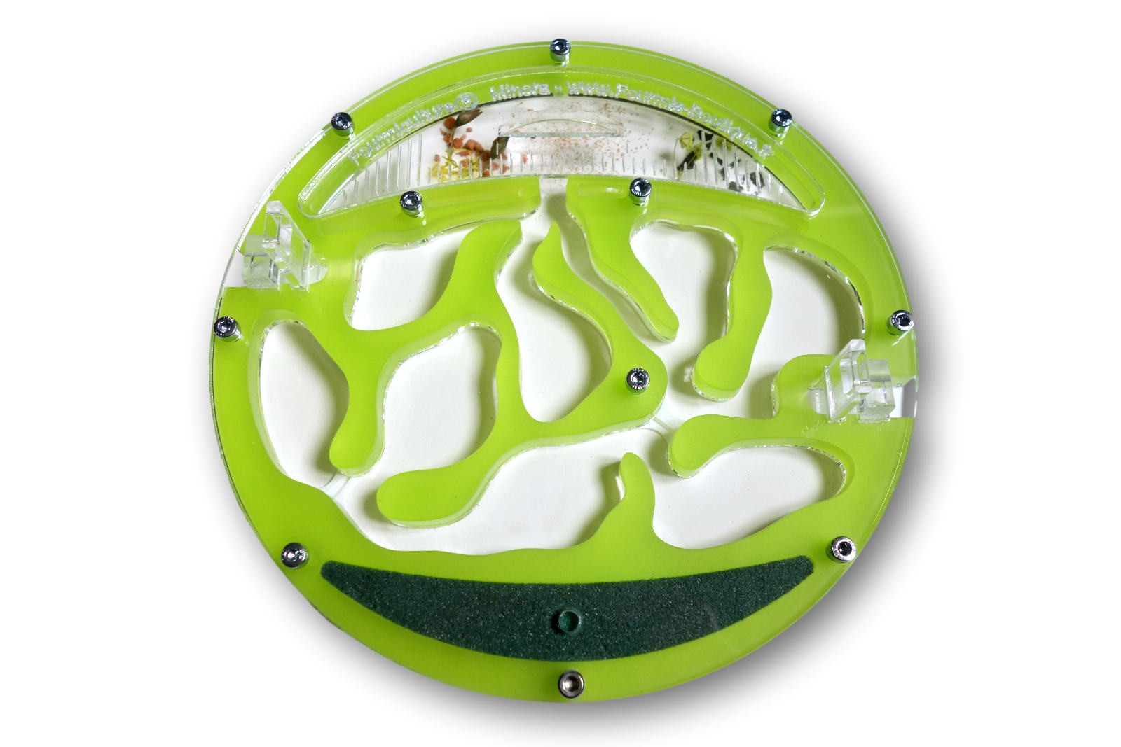 Minora 2.6 Eco Model 2 Fourmiculture® | Fourmiculture